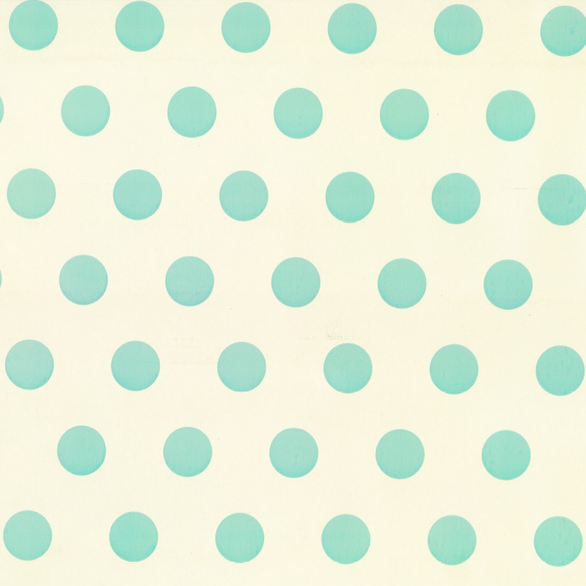 Cream with Blue Dot Giftwrap (5m x 50cm) – Paper Packaging Place